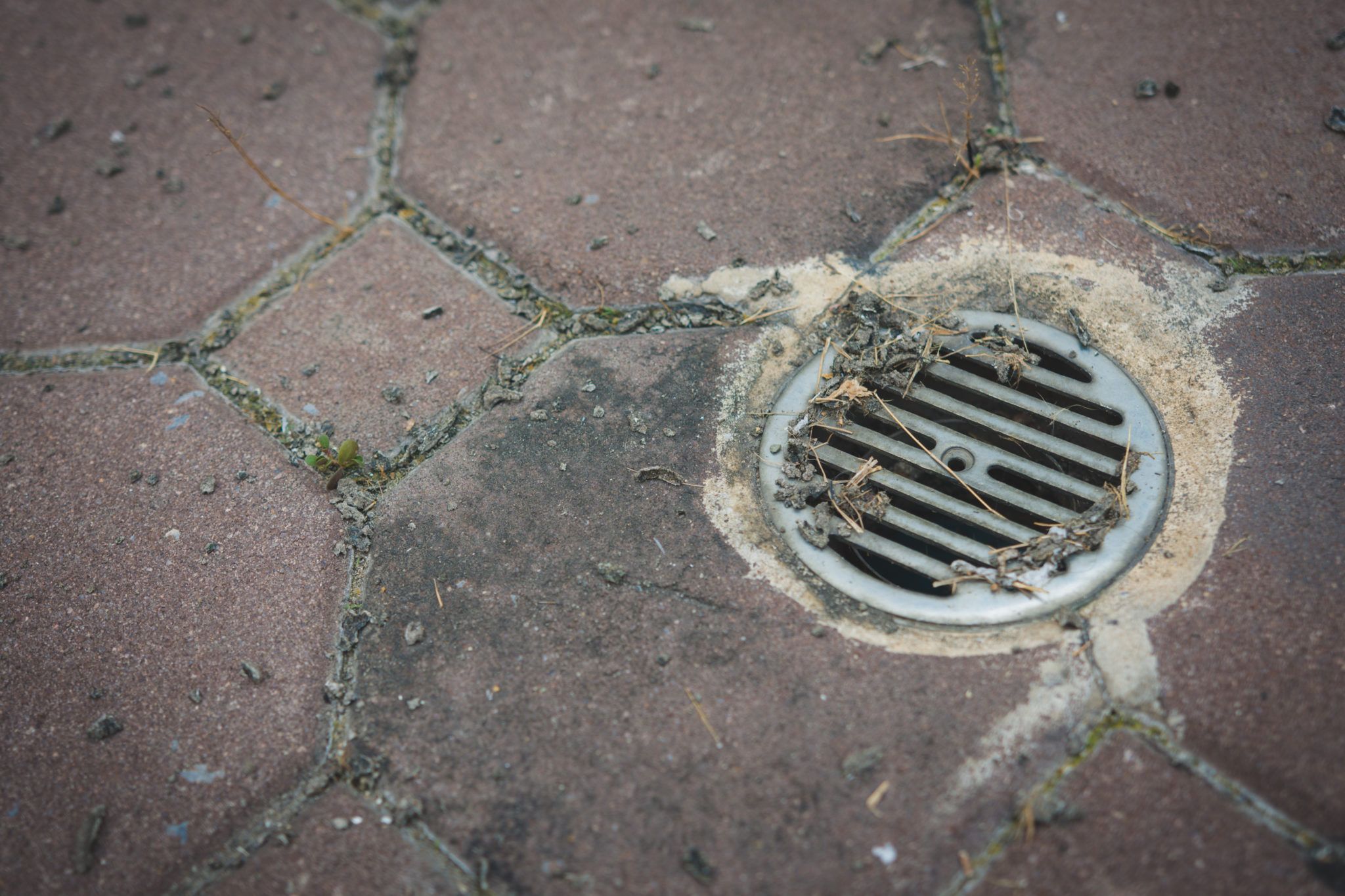 What To Do If You Have A Clogged Drain - A-Affordable Sanitation